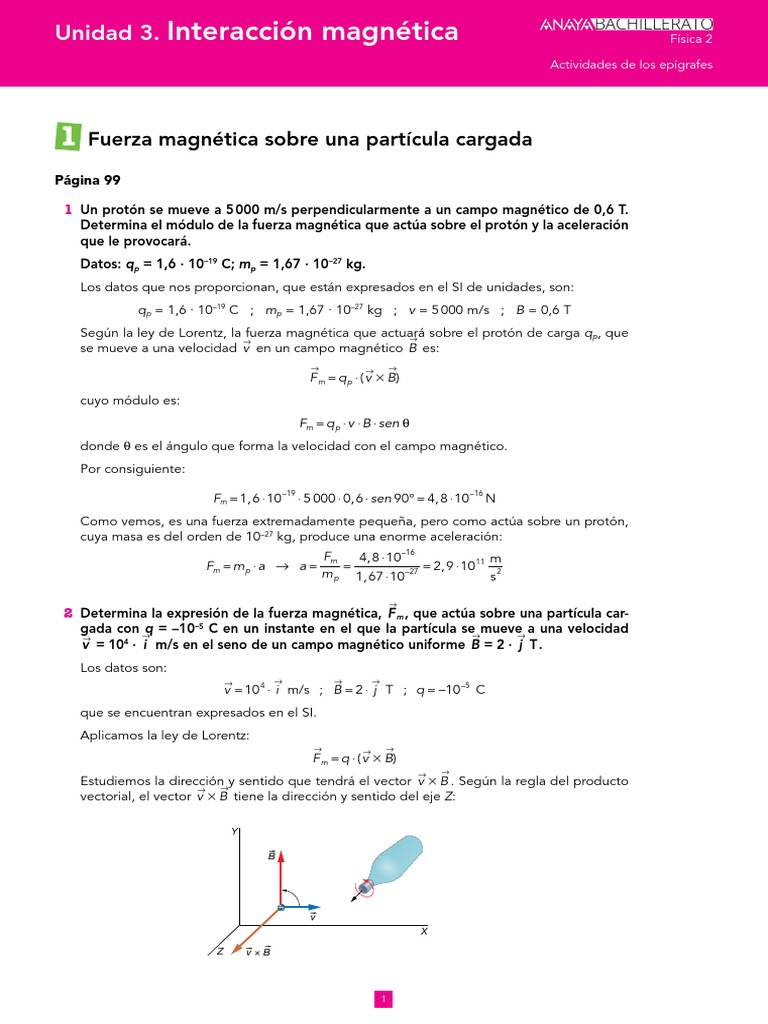 03 Solucionario Campo Magnetico | PDF | Campo magnético | Fuerza