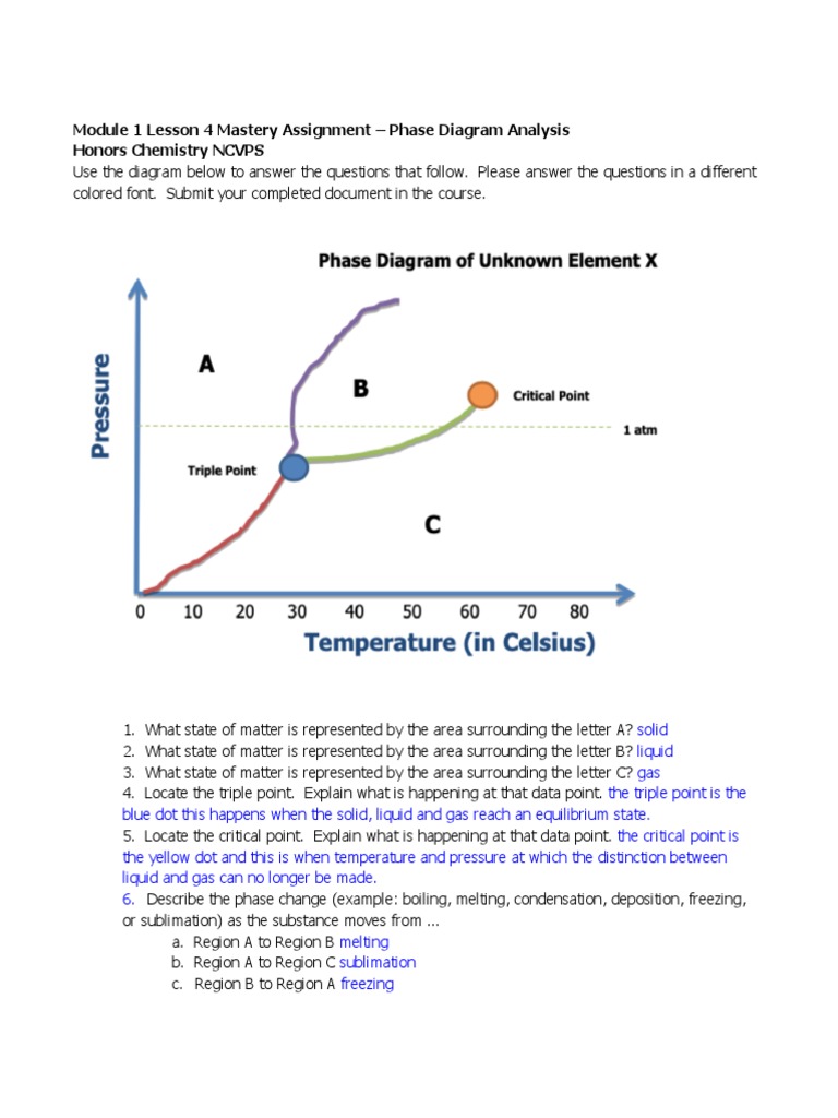 Module One Lesson Four Assignment Pdf