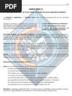 Instruccion 9-2025 Armas Blancas Automaticas | PDF | Policía | Estado (política)