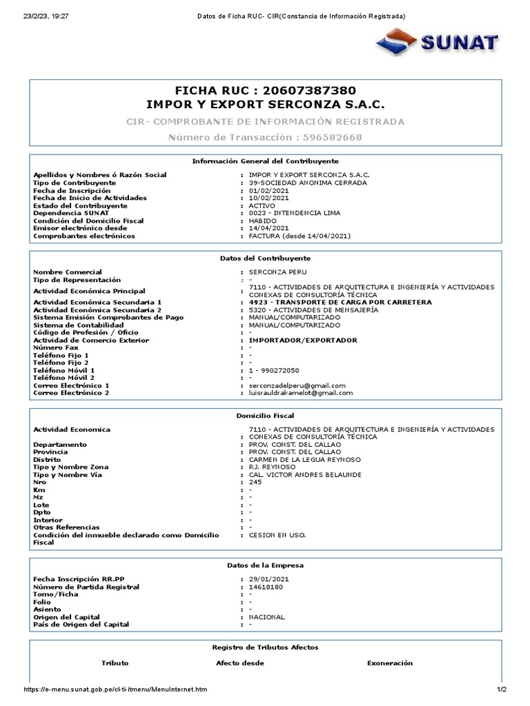 Ficha Ruc 2023 | PDF | Business | Industrias de servicio