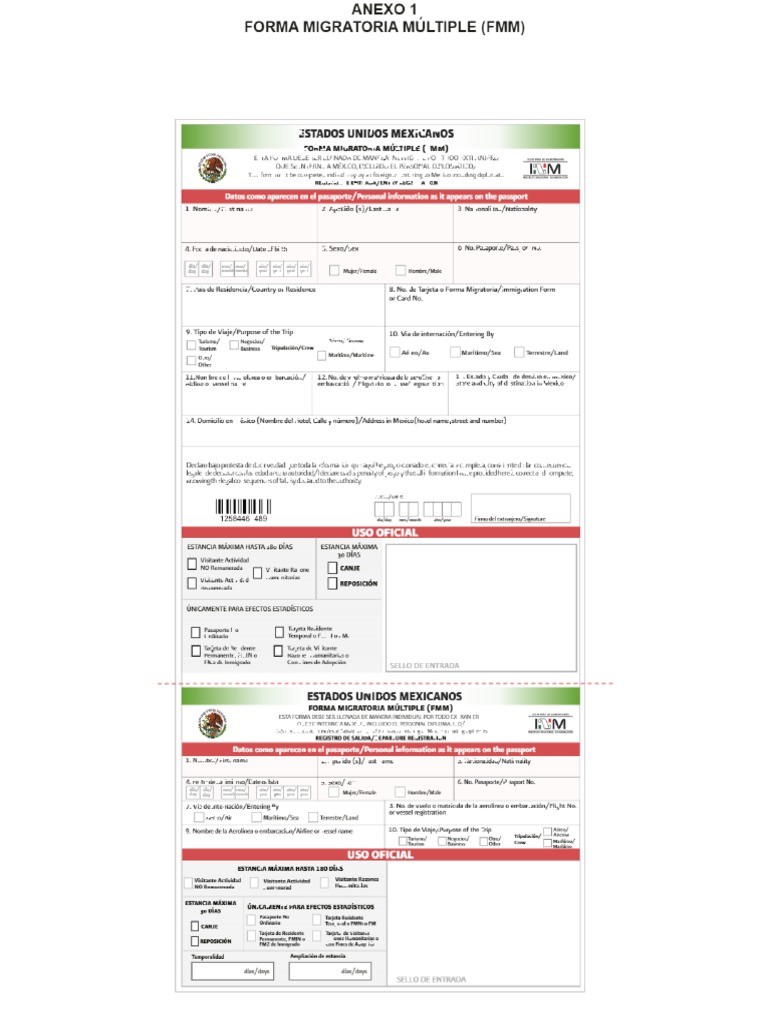 ANEXO 1 FORMA MIGRATORIA MÚLTIPLE (FMM) - PDF Descargar Libre | PDF