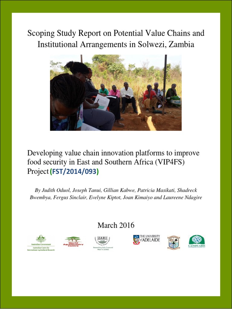 Scoping Study Report Solwezi - Final | PDF | Agriculture | Peanuts