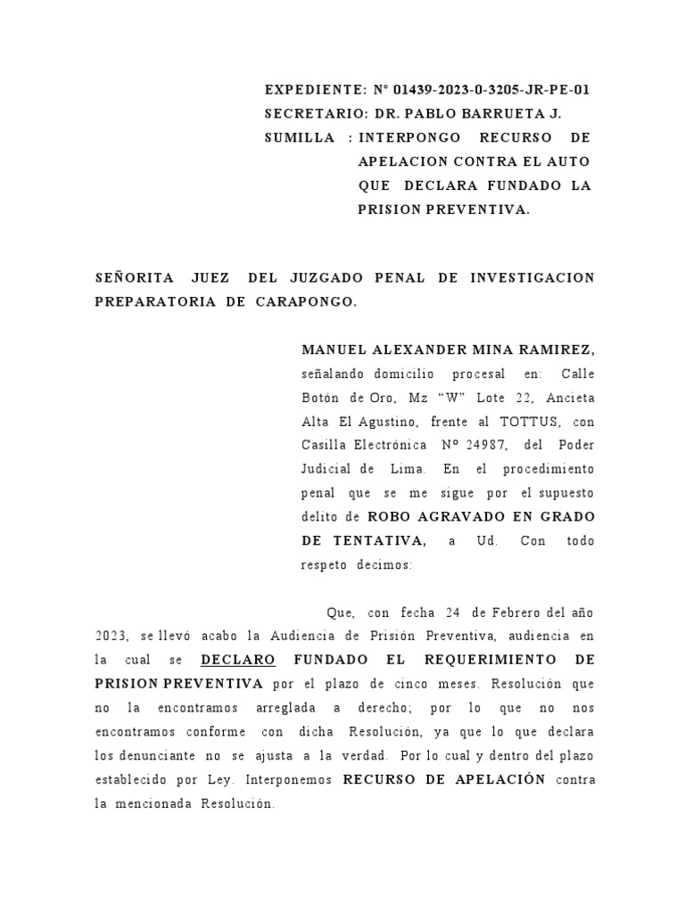 Apelacion Contra Auto de Prision Preventiva. Manuel Alexander Mina ...