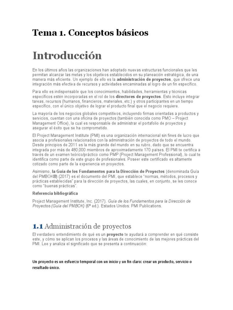 01 Conceptos Básicos | PDF | Gestión de proyectos | Business
