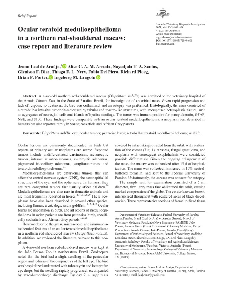 Ocular Teratoid Medulloepithelioma in A Northern Red-Shouldered Macaw ...
