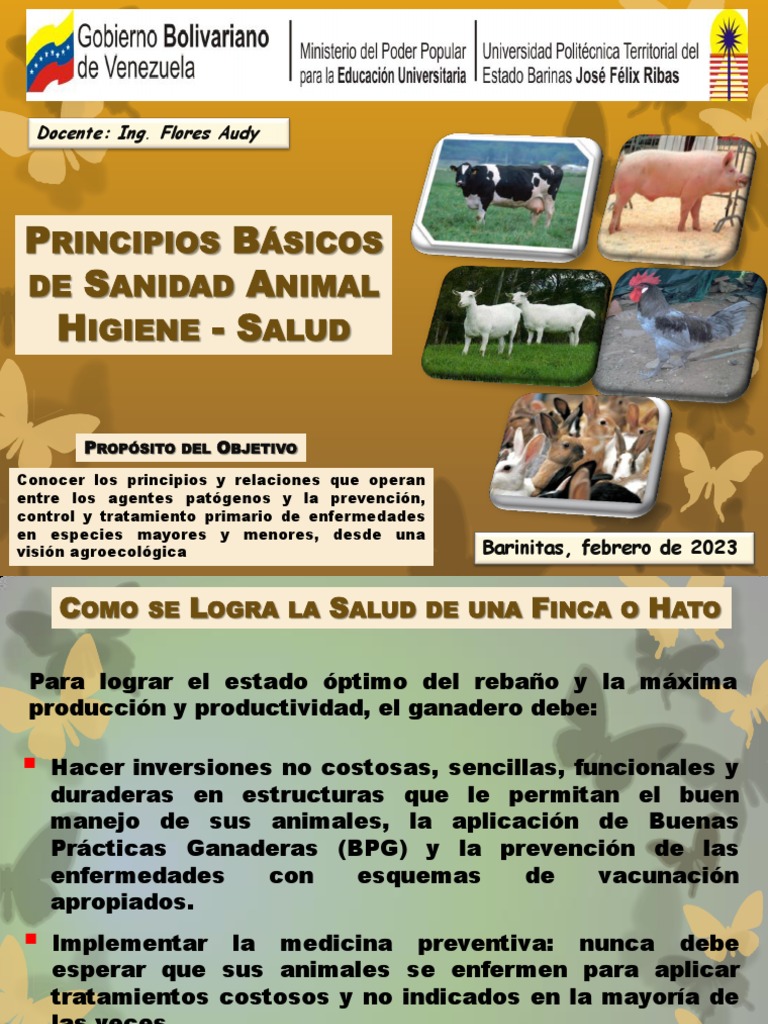 Higiene y Sanidad Animal: Enfoque One Health | PDF | Epidemias | Infección