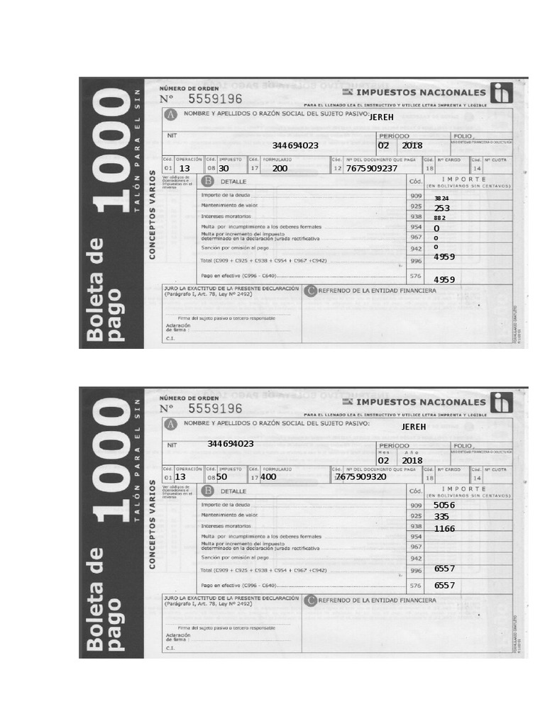 Formulario 1000 Llenado | PDF