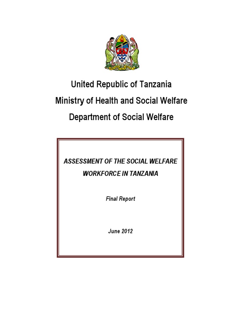 Assessment of The Social Welfare Workforce in Tanzania | Download Free ...