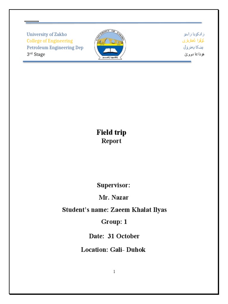 Field Report Geology | PDF | Geological Formation | Stratigraphy