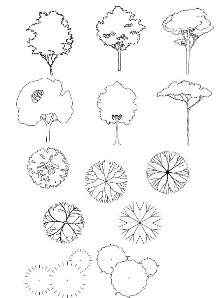 ΔΕΝΤΡΑ ΓΡΑΜΜΙΚΟ | PDF