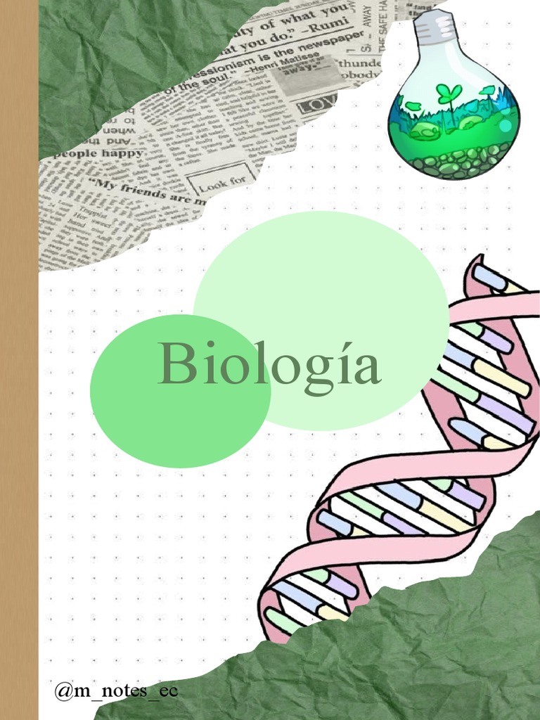 Portadas Editables | PDF