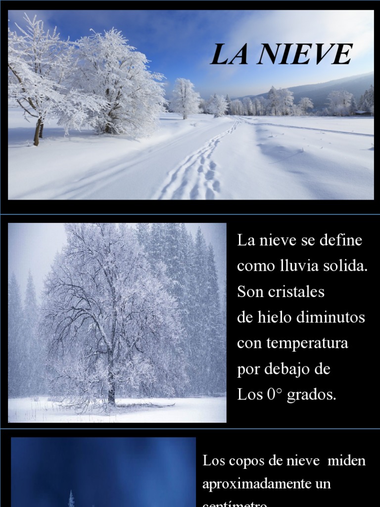 Mayra Ramirez La Nieve | PDF