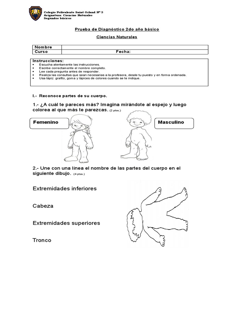 Prueba Diagnóstico Ciencias Naturales 2º Básico | PDF | Lápiz