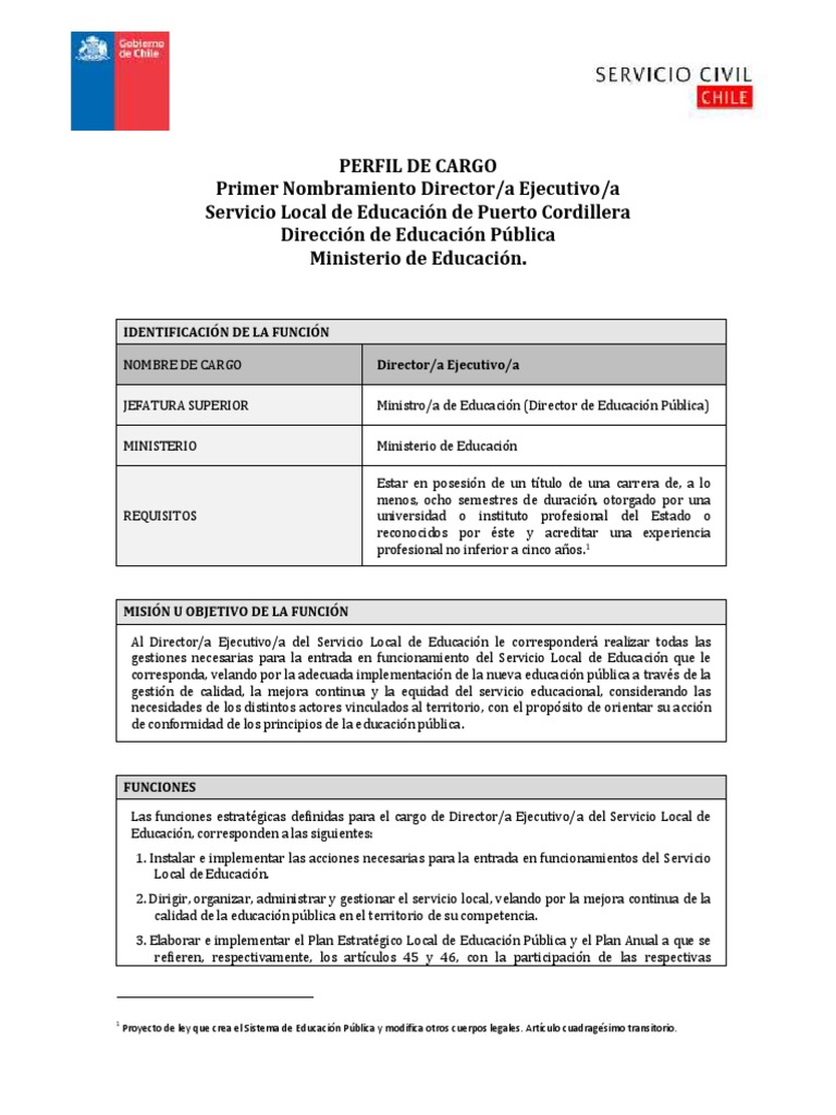 Perfil Director Ejecutivo SLE Puerto Cordillera Nombramiento Anticipado 1 | PDF | Planificación ...