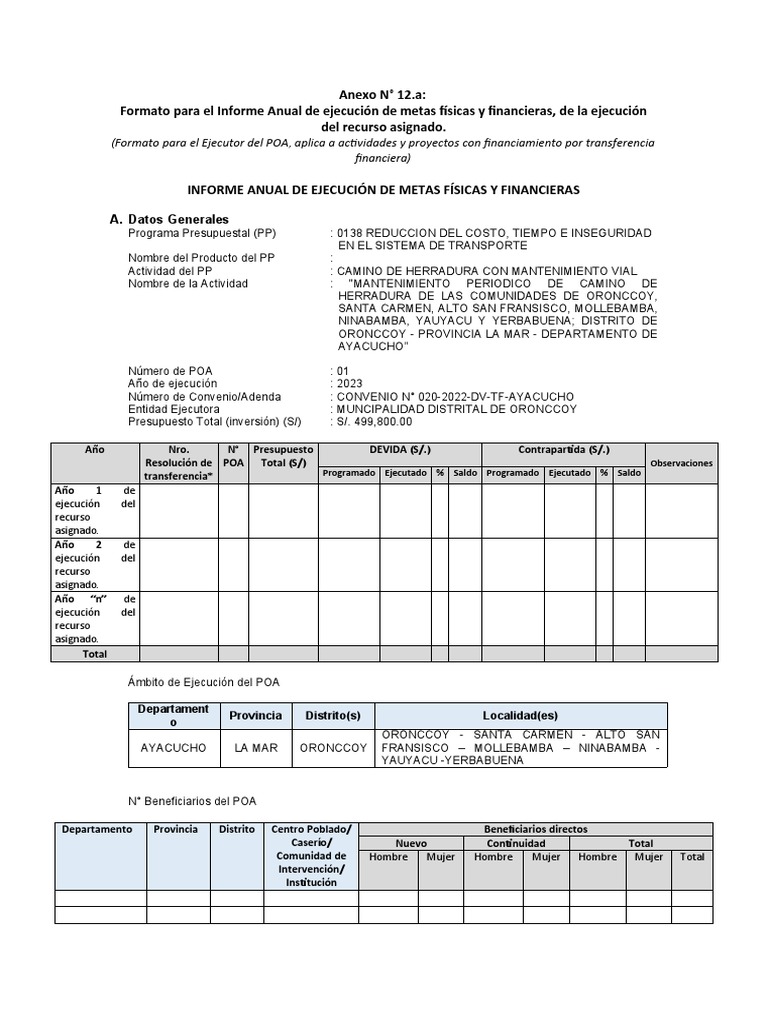 Formato para Informes Finales de POA 2023 - Informe Anual | PDF