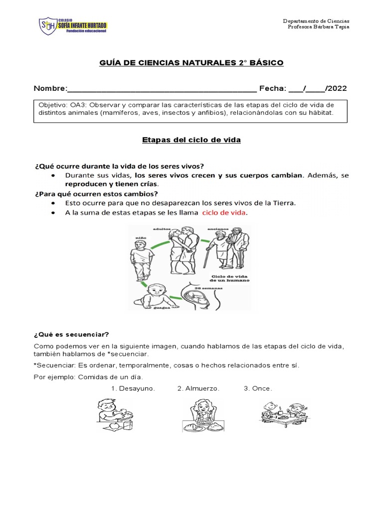 Ciclos de Vida de Los Animales | PDF