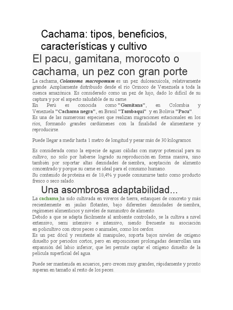 Cachama | PDF | Agua | Carne
