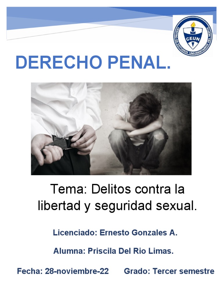 Delitos Contra La Libertad Y Seguridad Sexual Pdf Violación Justicia