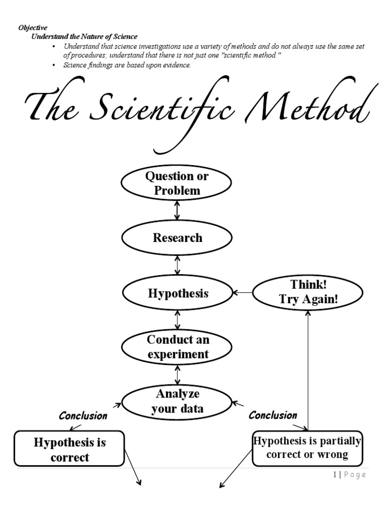 Scientific+method+worksheet (2) | PDF | Experiment | Scientific Method