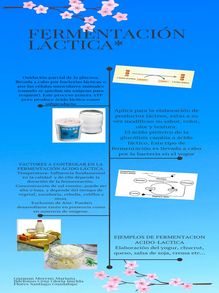 Fermentación Lactica | PDF