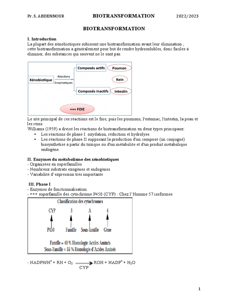 4 Biotransformation | PDF | Enzyme | Métabolisme