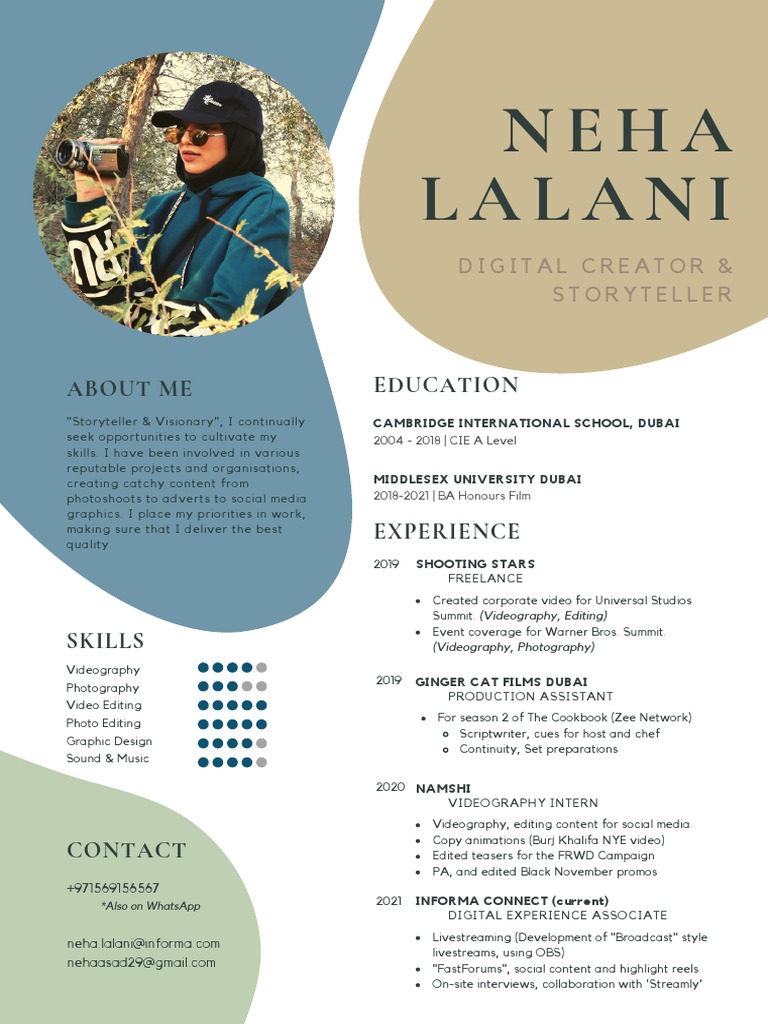 My Experience In A Nutshell Pdf Mass Media