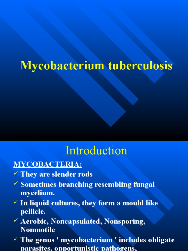 148 - Mycobacterium Tuberculosis | PDF | Tuberculosis | Mycobacterium