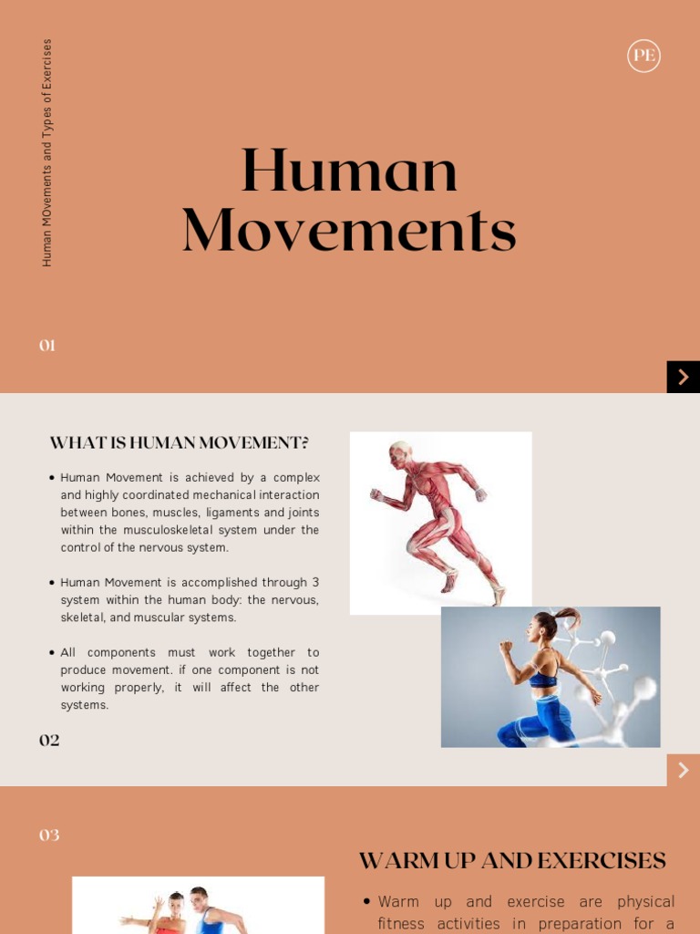 Human Movements | PDF | Weight Training | Skeletal Muscle