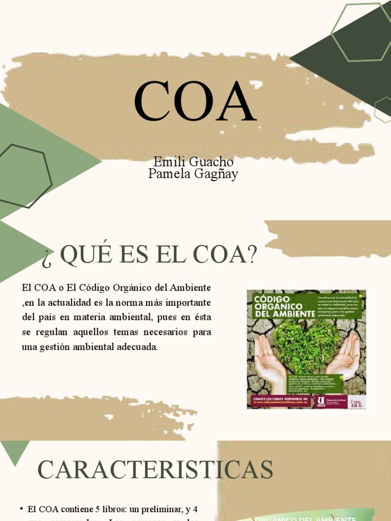 Que Es El COA | PDF