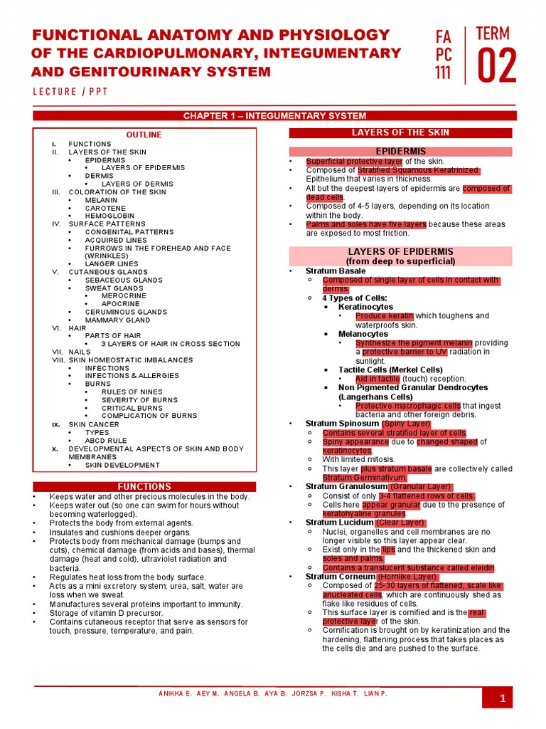 Fapc-Chapter-1-Integumentary System | PDF