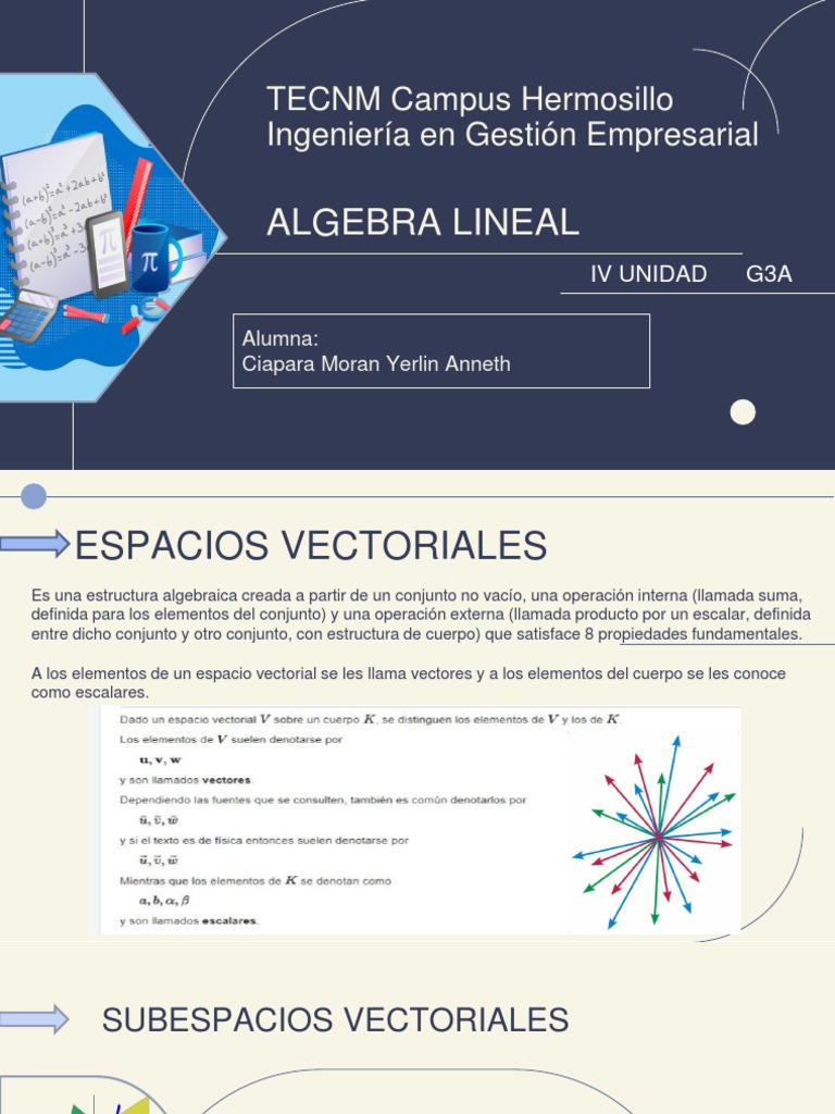 Espacios vectoriales, subespacios, bases y dimensión | PDF | Espacio vectorial | Base (álgebra ...