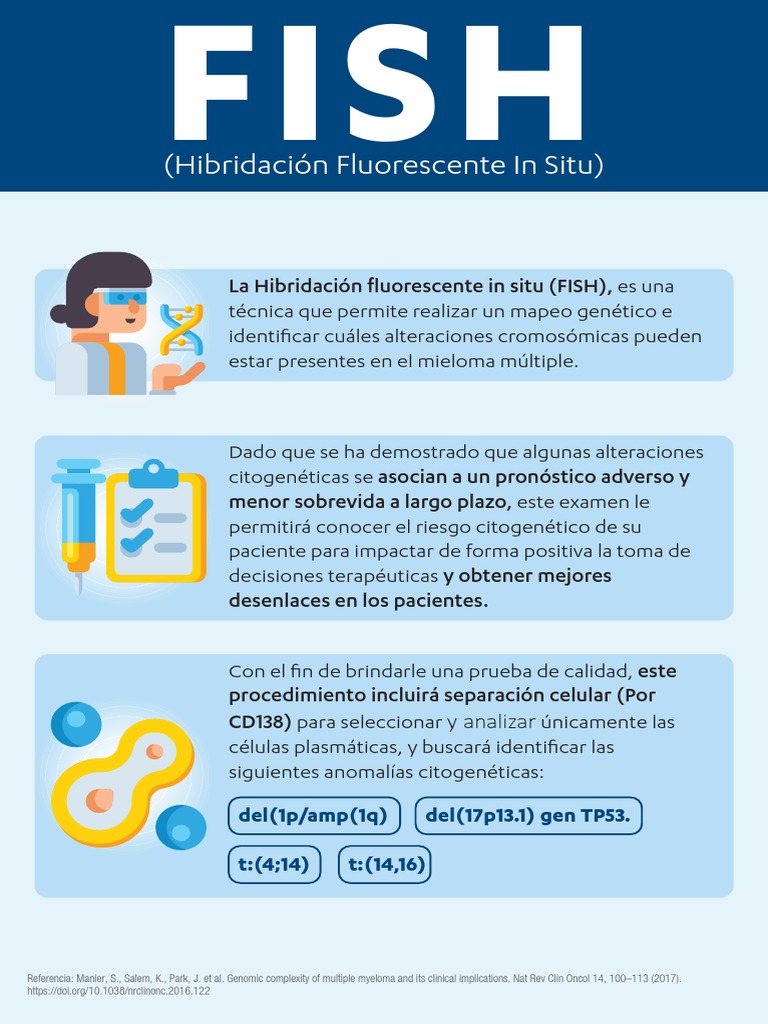 Prueba FISH para diagnóstico de mieloma | PDF | Hibridación in situ ...