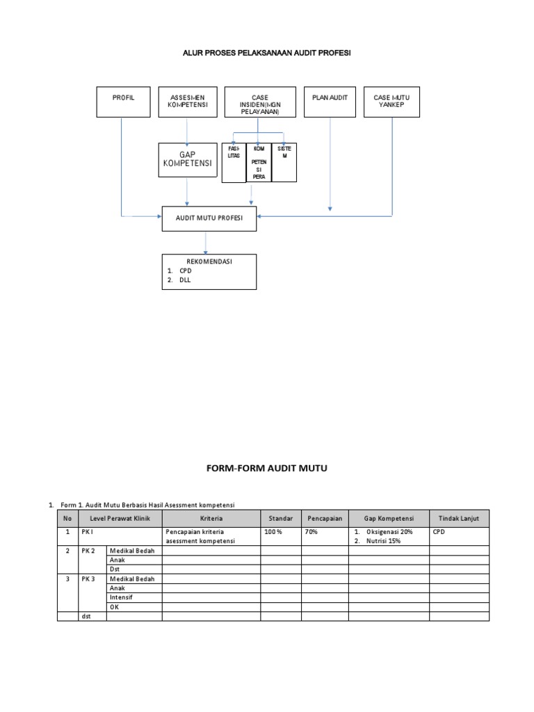 Proses Audit Mutu Keperawatan Profesional | PDF | Bisnis