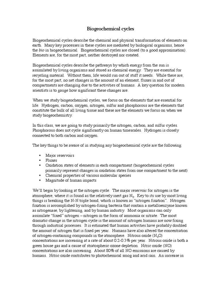 Biogeochem | PDF | Nitrogen | Biogeochemistry