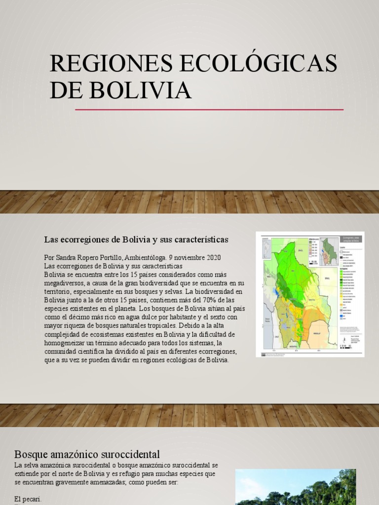 Regiones Ecológicas de Bolivia | PDF | Los bosques | Bolivia