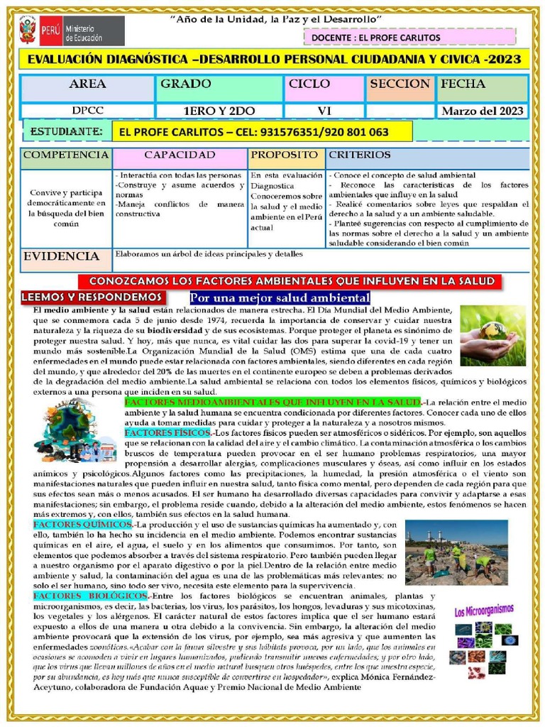 Evaluacion Diagnostica - 1ero y 2do Grado-Dpcc - 00001 | PDF