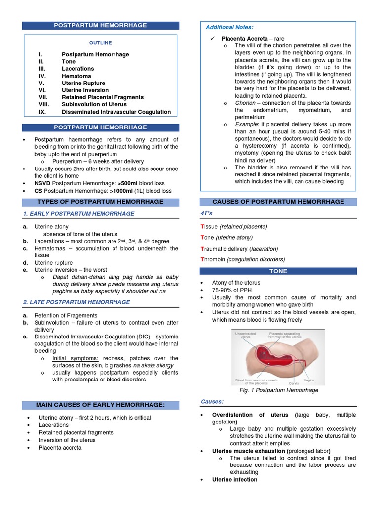 MCN 80 114 | PDF | Uterus | Childbirth