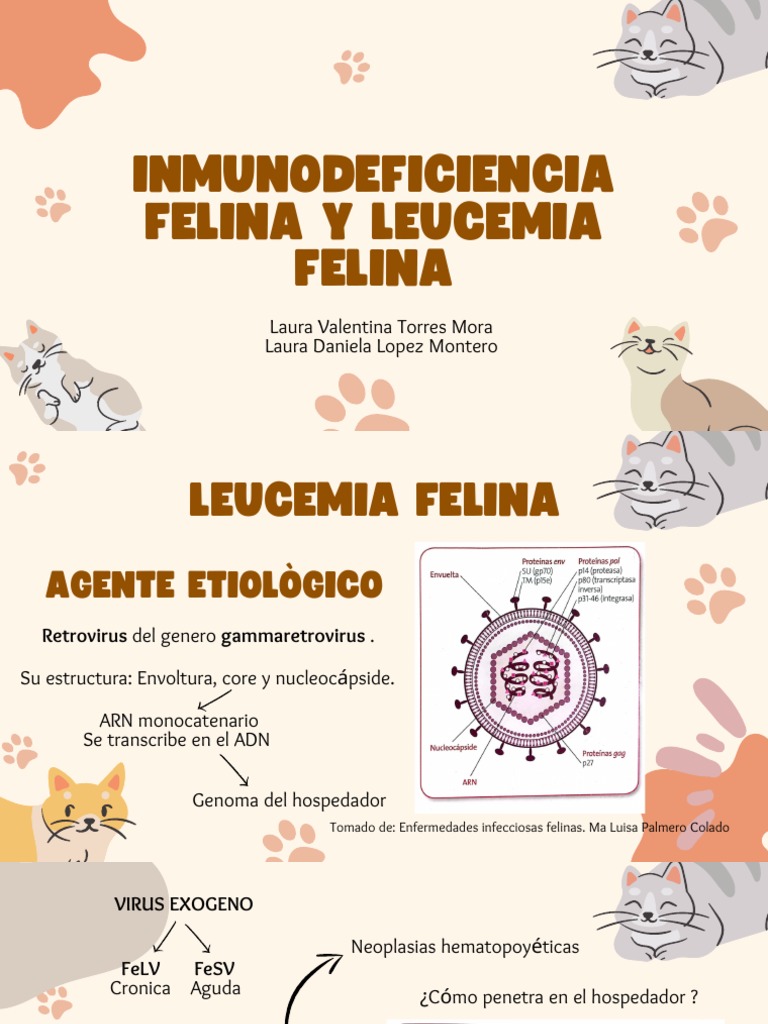 Inmunodeficiencia y Leucemia Felina | PDF | Sistema inmune | Virus