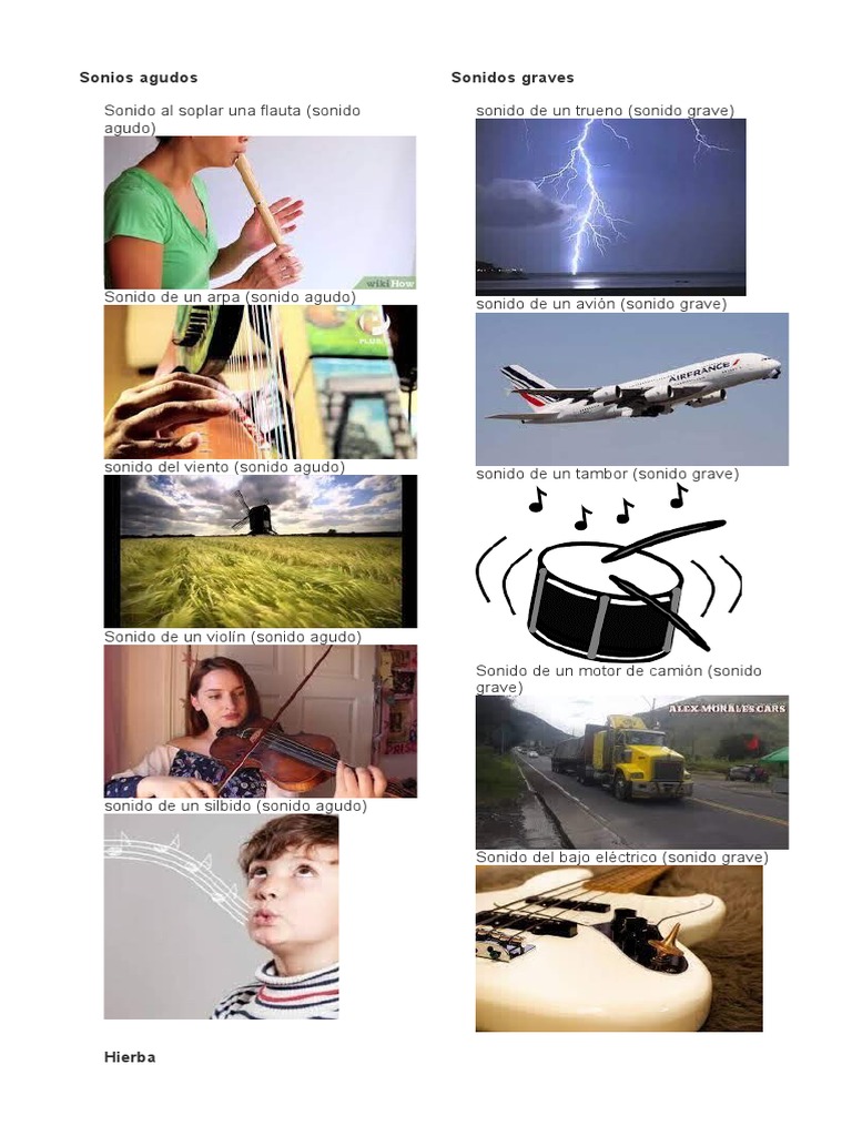 Sonidos Agudos y Graves | PDF
