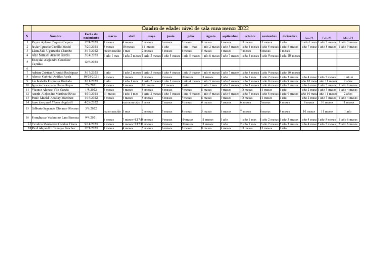 Cuadro de Edades Sala Cuna Menor | PDF