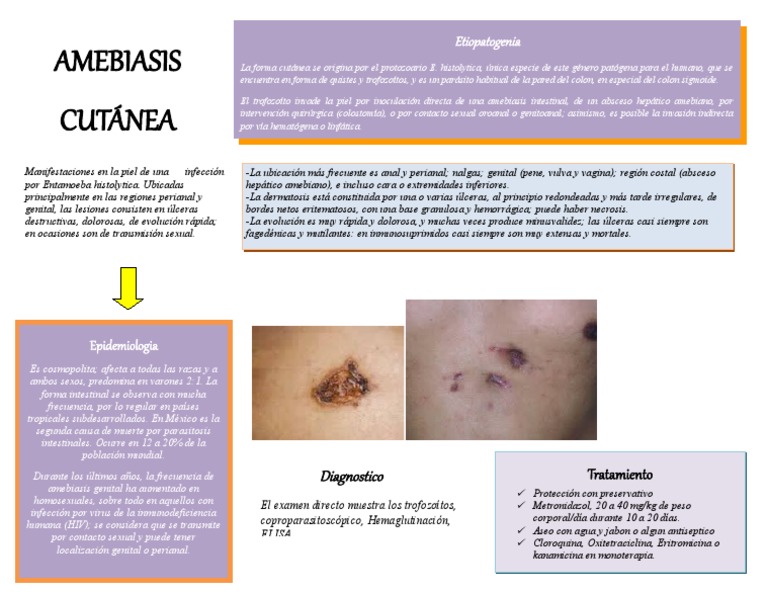 Amebiasis Cutanea | PDF | Medicina | Ciencias de la Salud