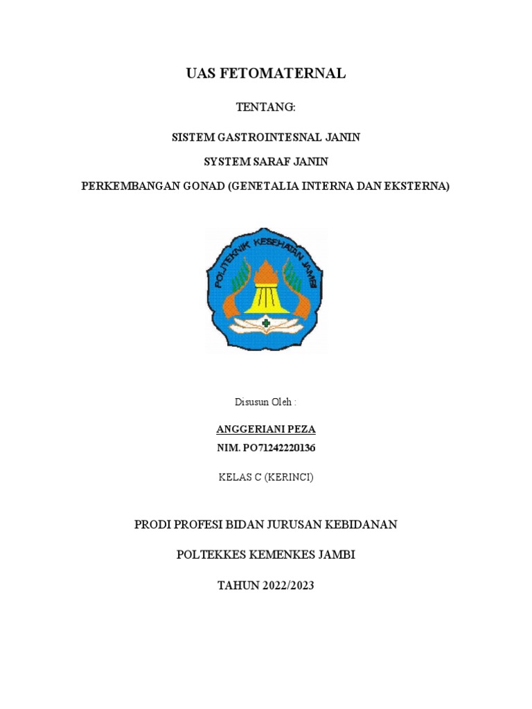 Anggeriani Peza (Fetomaternal) | PDF | Kesehatan Holistik | Sains ...
