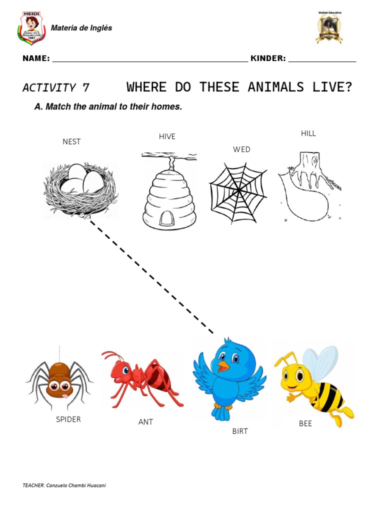 English Kinder | PDF