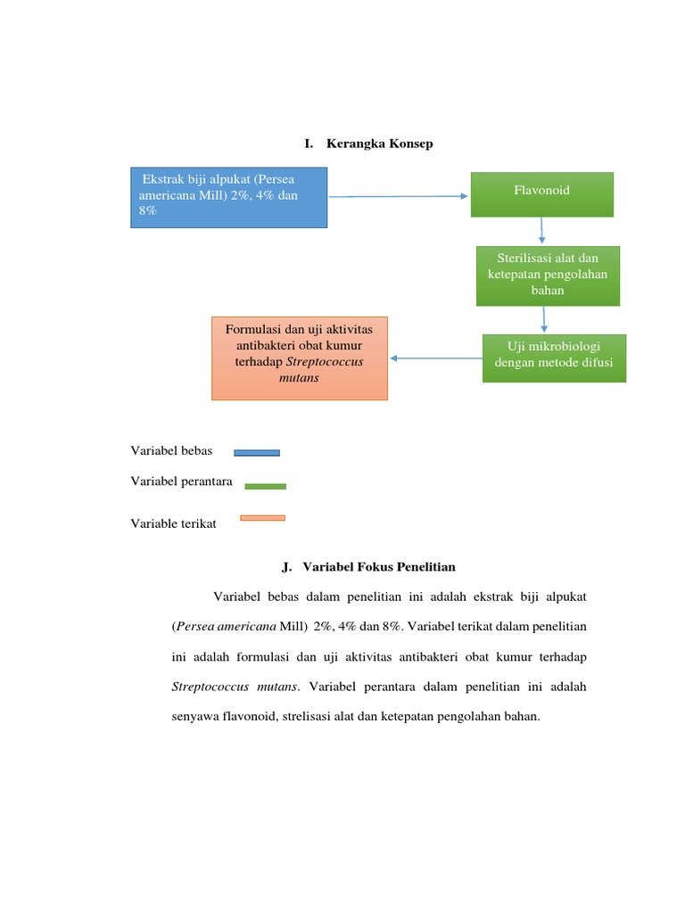 Kerangka Konsep | PDF