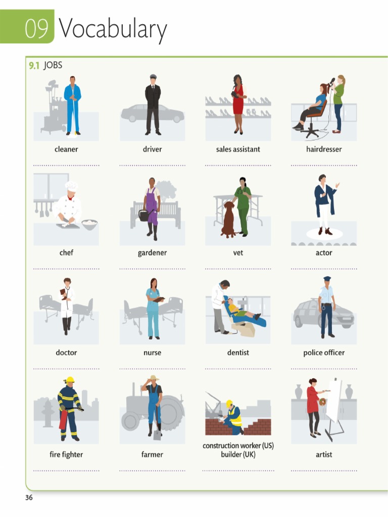 Job Vocabulary and Grammar Guide | PDF | Plural | Word