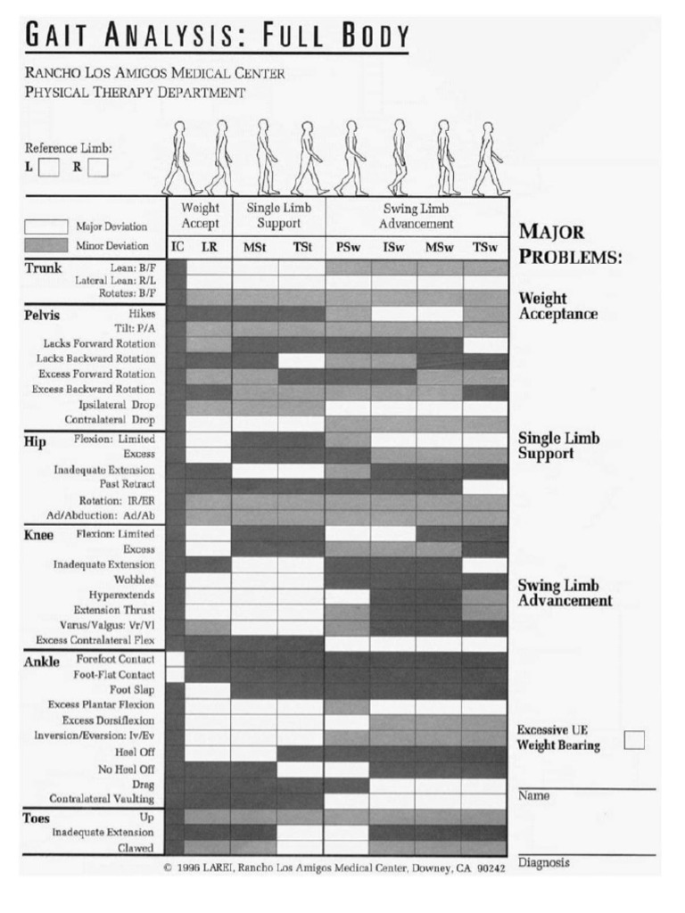 RLA Gait Analysis | PDF
