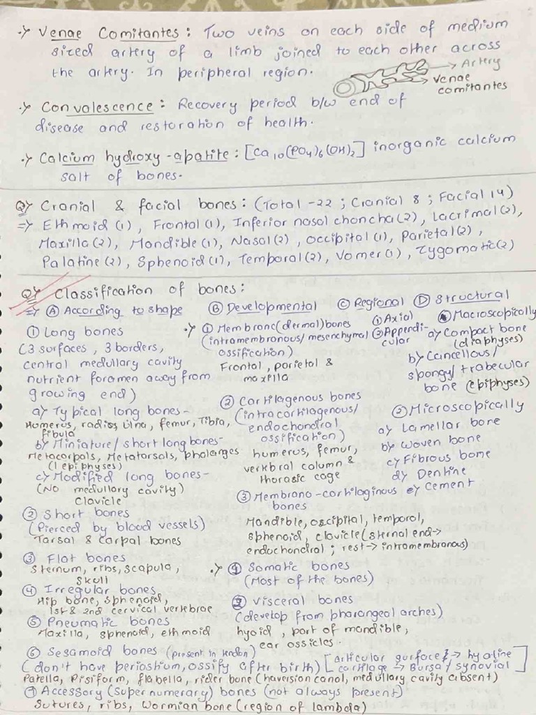 General Anatomy | PDF