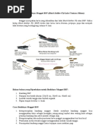 Classification Lalat BSF | PDF