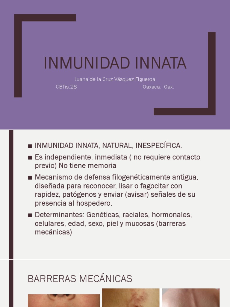 Inmunidad Innata | PDF | Sistema inmune | Sistema inmune innato