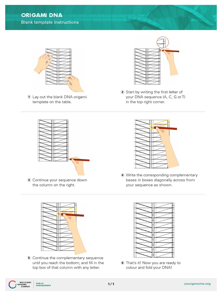 DNA Origami (Blank Template Instructions) | PDF
